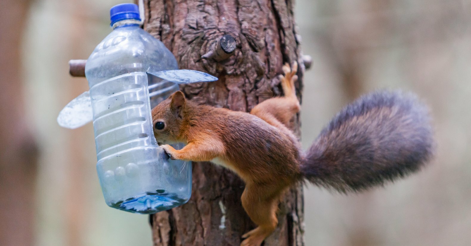 Smekalka, the perpetual solution to any problem